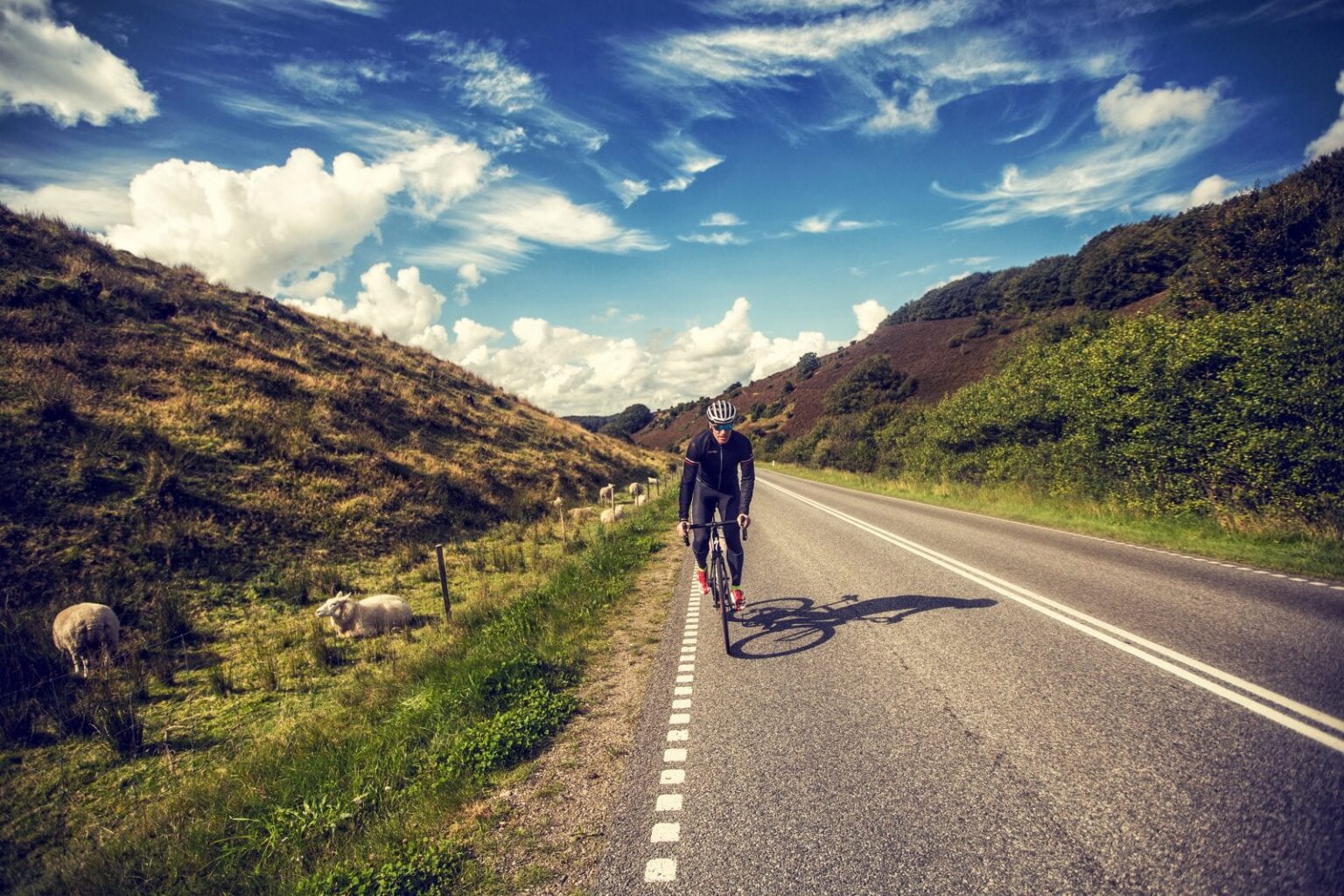 A Pretty Specialized day, i Rebild – AltomCykling.dk